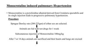 screening of antihypertensive drugs.pptx