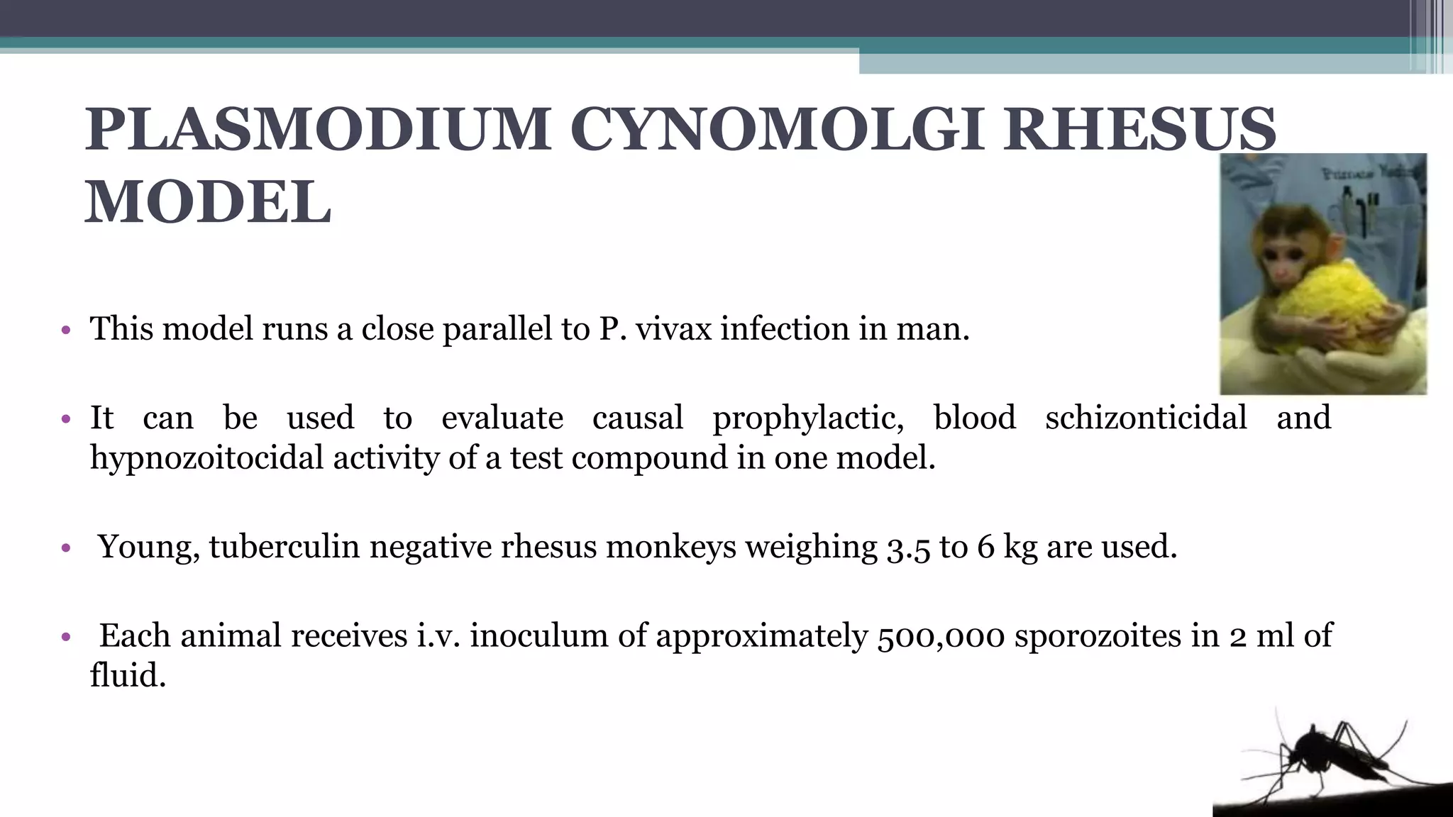 Screening of antimalarial drugs | PPTX
