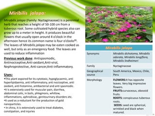 Screening of antimicrobial activity. | PPTX