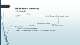 Screening of antiparkinson agent | PPTX