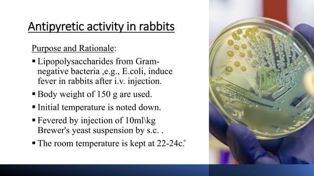 Screening of antipyretic drugs | PPTX | Chemistry | Science