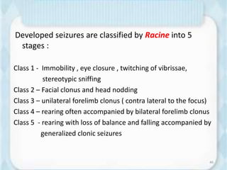 Screening of anti seizure drugs | PPTX