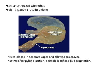 Screening of anti ulcer drugs - Dr Divya Krishnan | PPTX