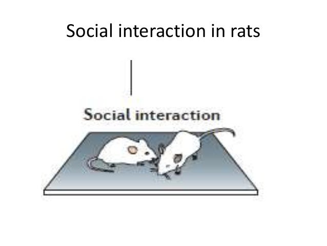 Screening of Anxiolytics