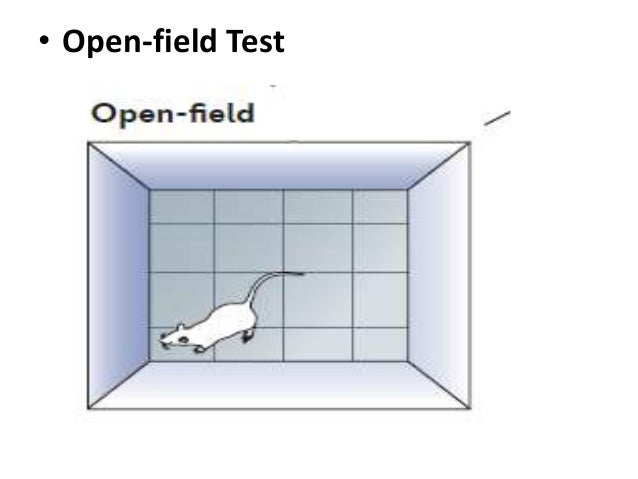 Screening of Anxiolytics