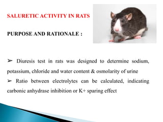 Screening of Diuretics M.PHARM PHARMACOLOGY. | PPTX