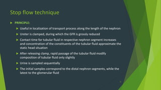 SCREENING OF DIURETICS_075702.pptx presentation | PPTX