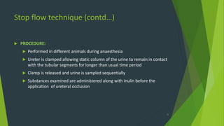 SCREENING OF DIURETICS_075702.pptx presentation | PPTX