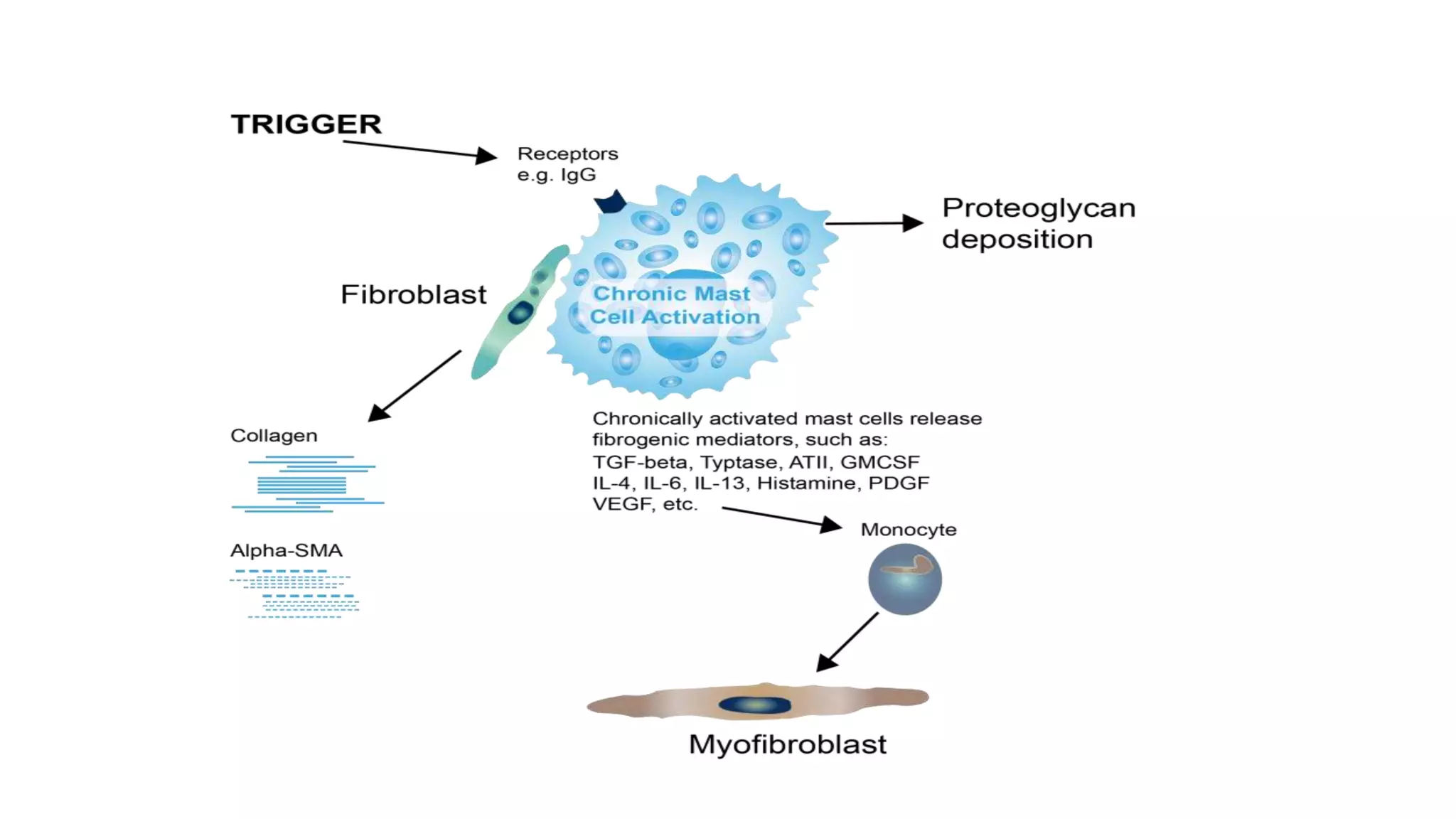 SCREENING OF immuno.pptx