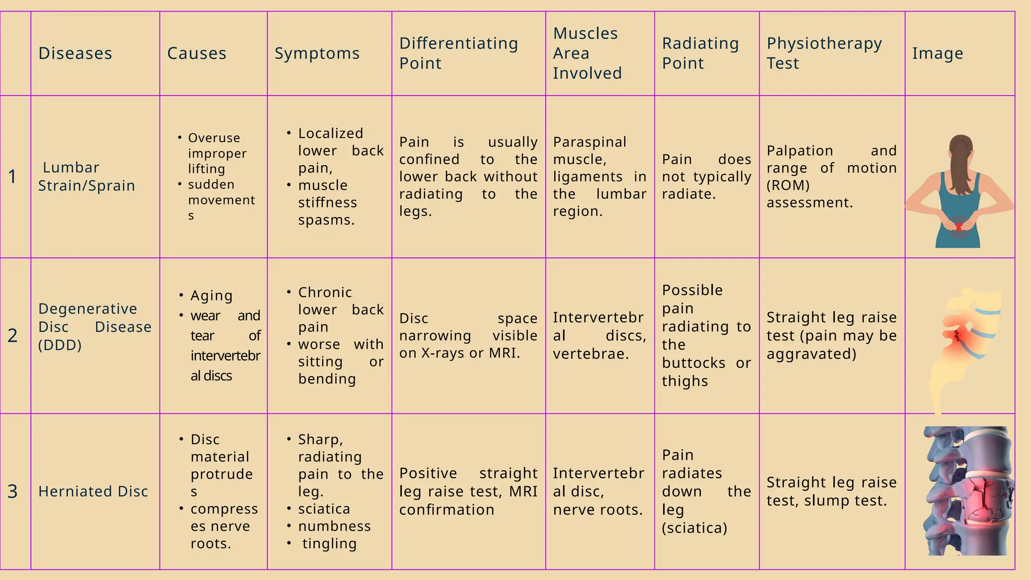 Screening of lumbar region and common injuries | PPTX