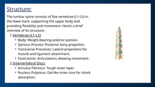 Screening of lumbar region and common injuries | PPTX