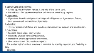 Screening of lumbar region and common injuries | PPTX