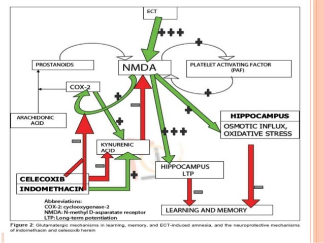 Screening procedure for amnesia