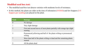 Screening protocols for major pests of crops | PPTX