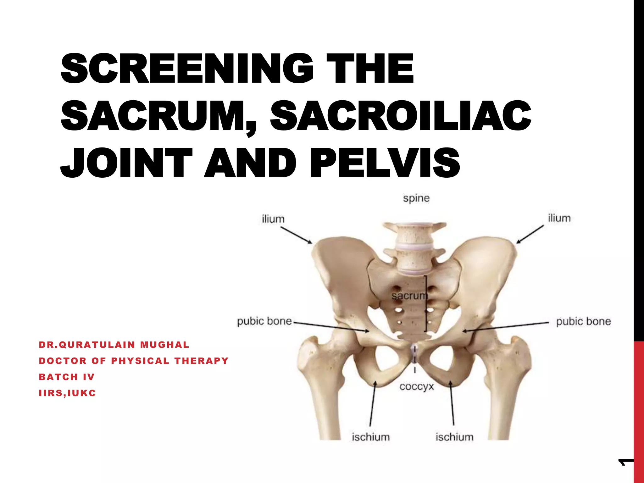 Screening the sacrum, sacroiliac and pelvis | PPTX