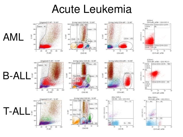 Ten-Color, 14 Antibody Flow cytometry (FCM) Screening Tube for Lympho…