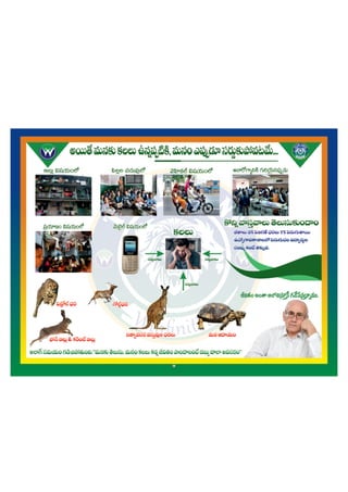 Winfinith plan presentation | PDF