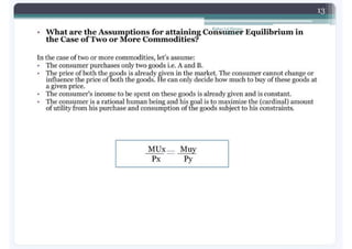 ECONOMICS PROJECT - CONSUMER EQUILIBRIUM B | PDF