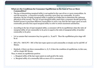 ECONOMICS PROJECT - CONSUMER EQUILIBRIUM B | PDF