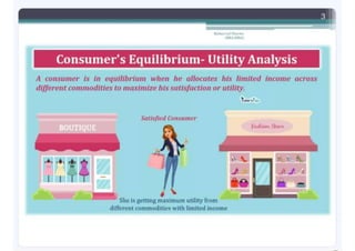 ECONOMICS PROJECT - CONSUMER EQUILIBRIUM B | PDF