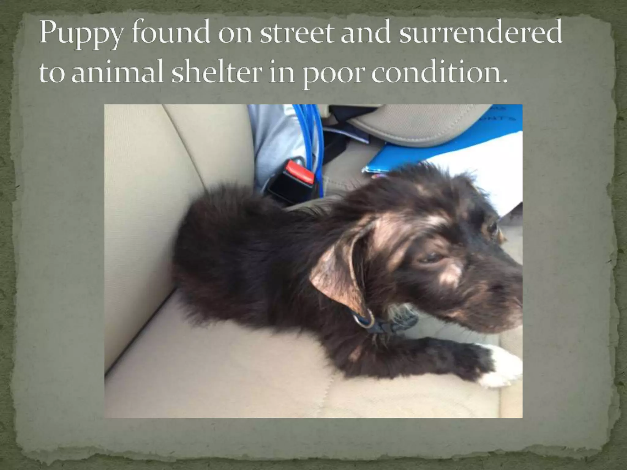 SCREEN STRUCTURE: Documentary, narrative, aesthetic, emotional (with ...