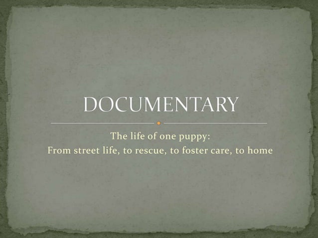 SCREEN STRUCTURE: Documentary, narrative, aesthetic, emotional (with ...