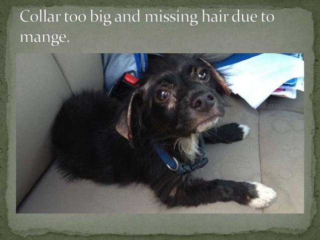 SCREEN STRUCTURE: Documentary, narrative, aesthetic, emotional (with ...