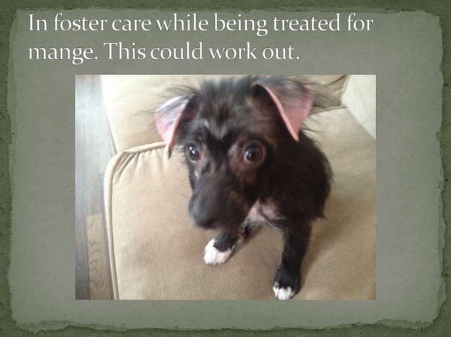 SCREEN STRUCTURE: Documentary, narrative, aesthetic, emotional (with ...