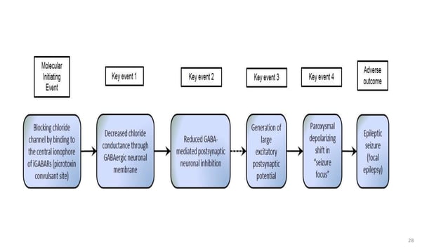 Screening models of antiepileptic and nootropic drugs | PPTX