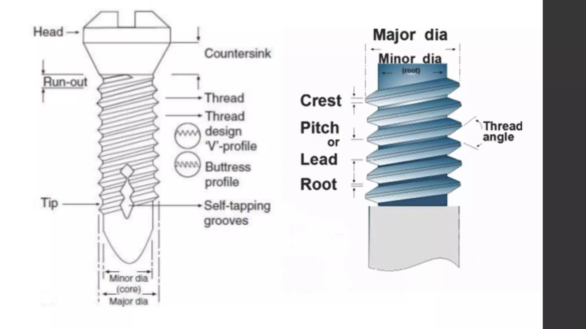 Screws in orthopedics | PPTX
