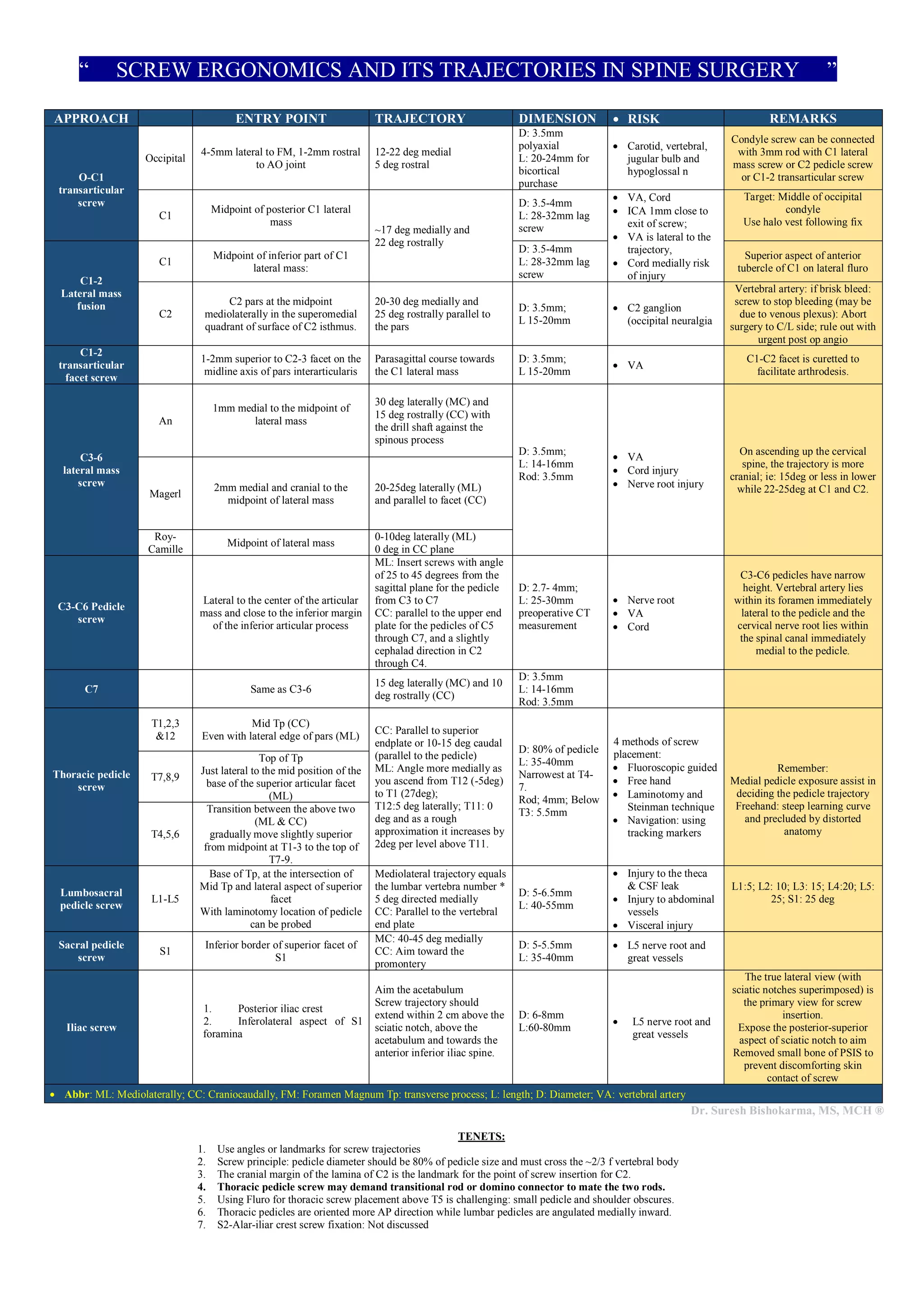 Screw trajectories and ergonomics in spine surgery | PDF