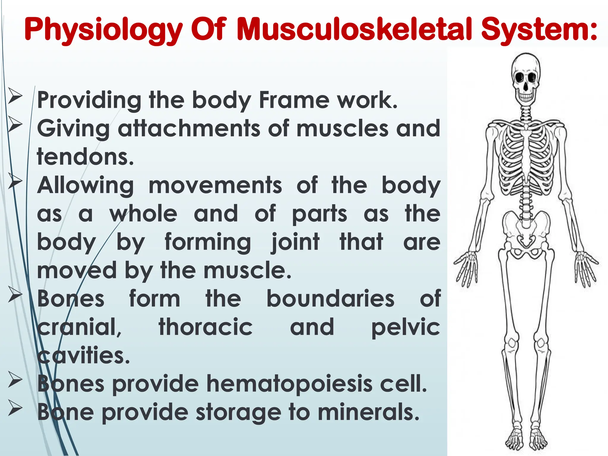 musculoskeletal system health nursing awareness | PPTX