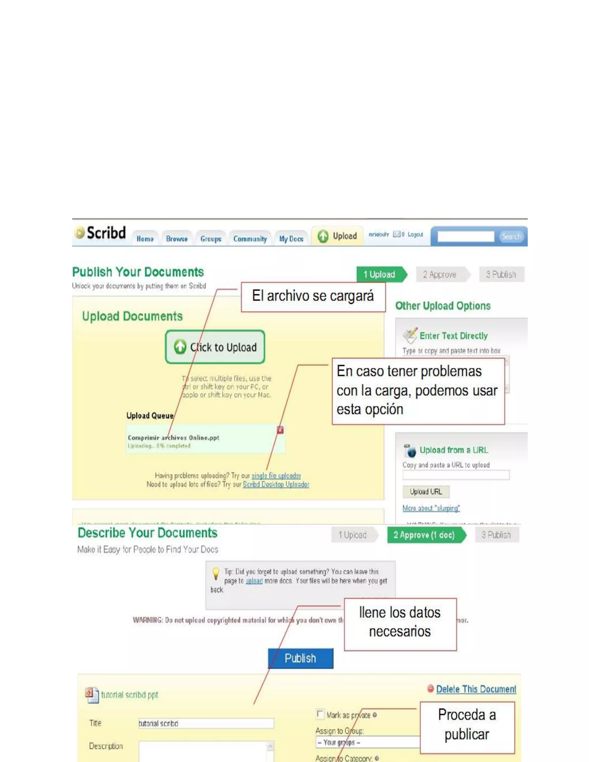 MANUAL DE SCRIBD | PDF