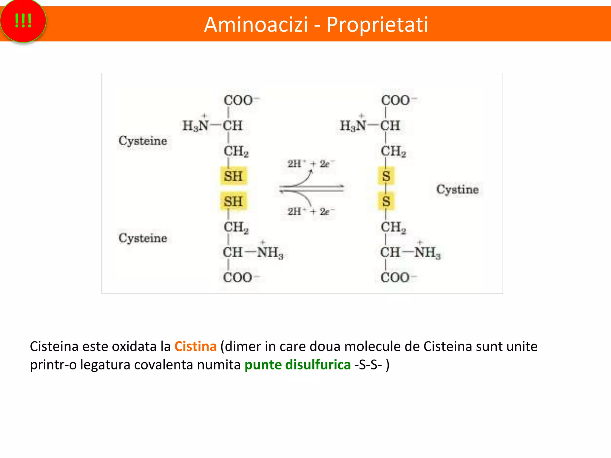 curs-introductiv-proteine-2021.pptx
