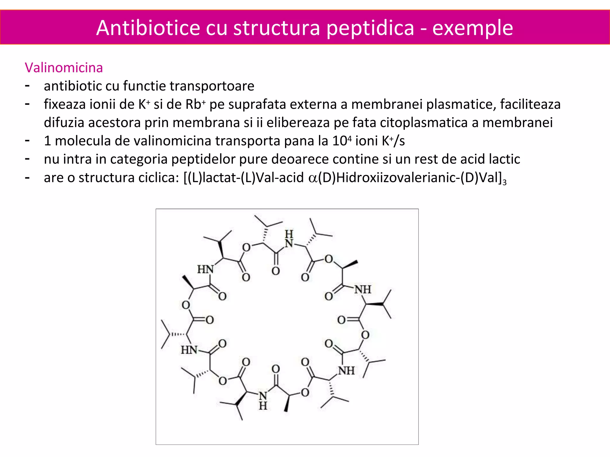 curs-introductiv-proteine-2021.pptx