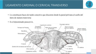 scribd.vdownloaders.com_anatomia-y-fisiologia-del-utero.pptx