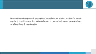 scribd.vdownloaders.com_anatomia-y-fisiologia-del-utero.pptx
