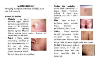 scribd.vdownloaders.com_morfologi-kulit.pdf