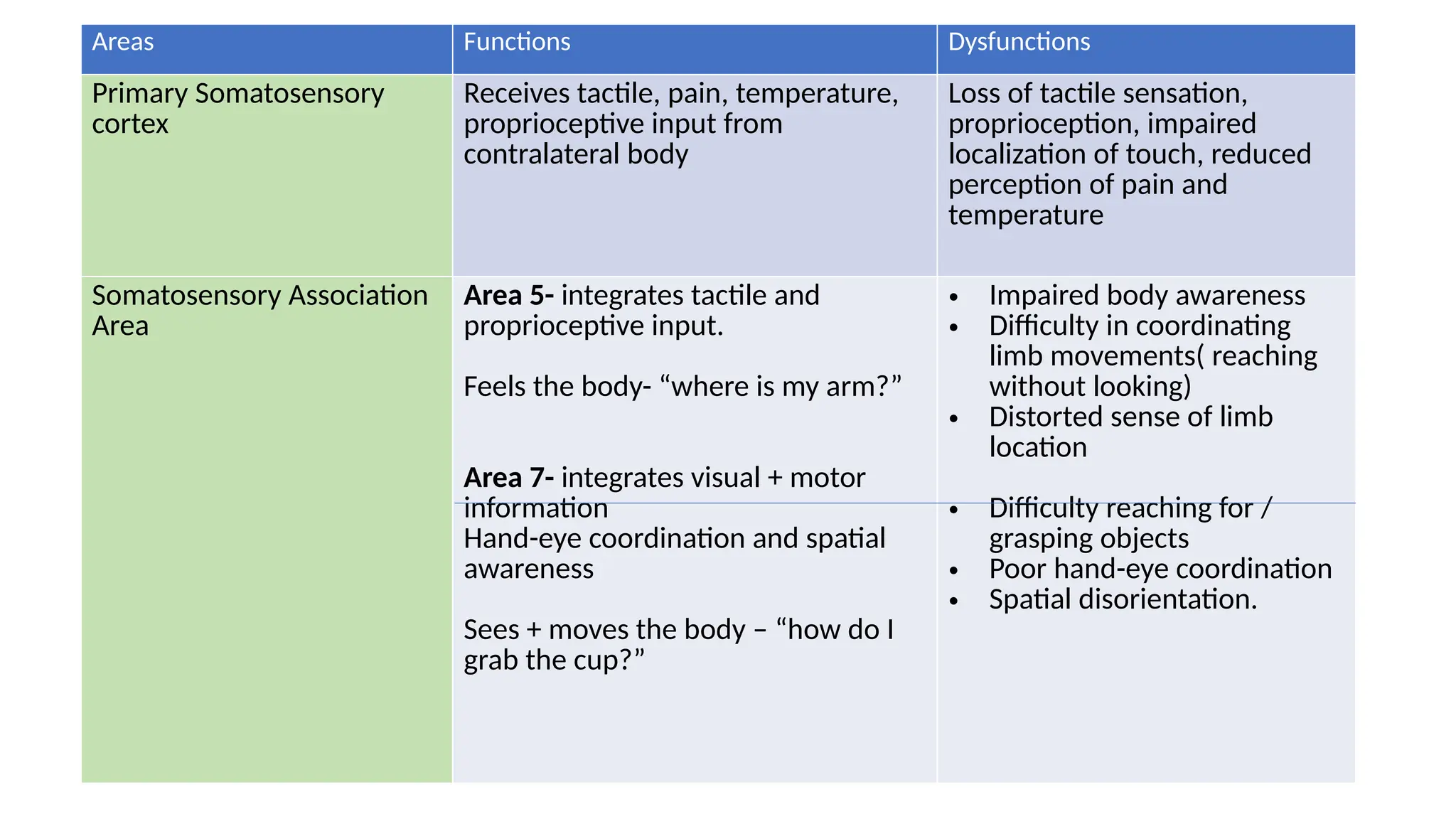 Sensory & Higher Cortical Functions of the Parietal Lobe | PPTX