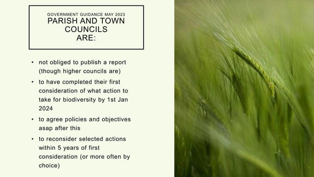 Biodiversity Duty on Town & Parish Councils | PPT