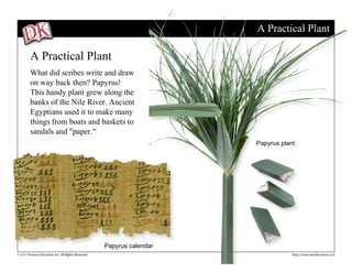 Scribes of ancient egypt | PPT