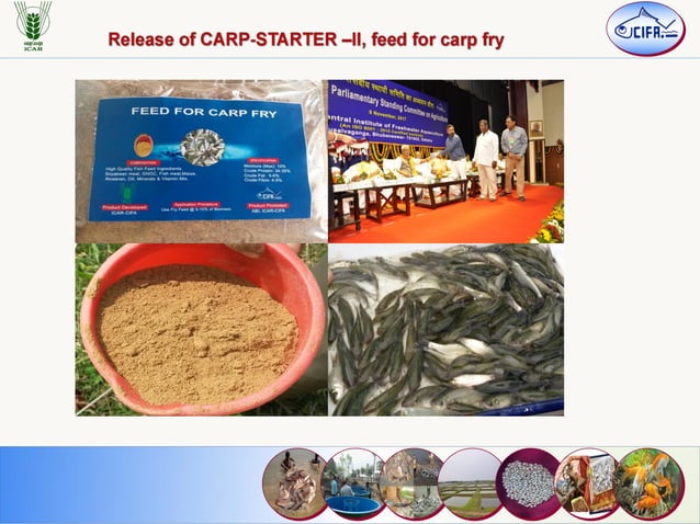 Fish Feed Technology and Feed Management for Carp-nursery-ponds | PDF ...