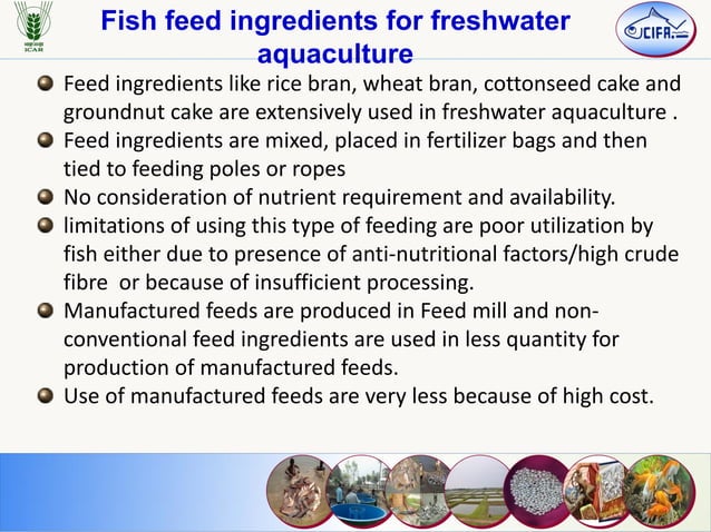 Fish Feed Technology and Feed Management for Carp-nursery-ponds | PDF ...