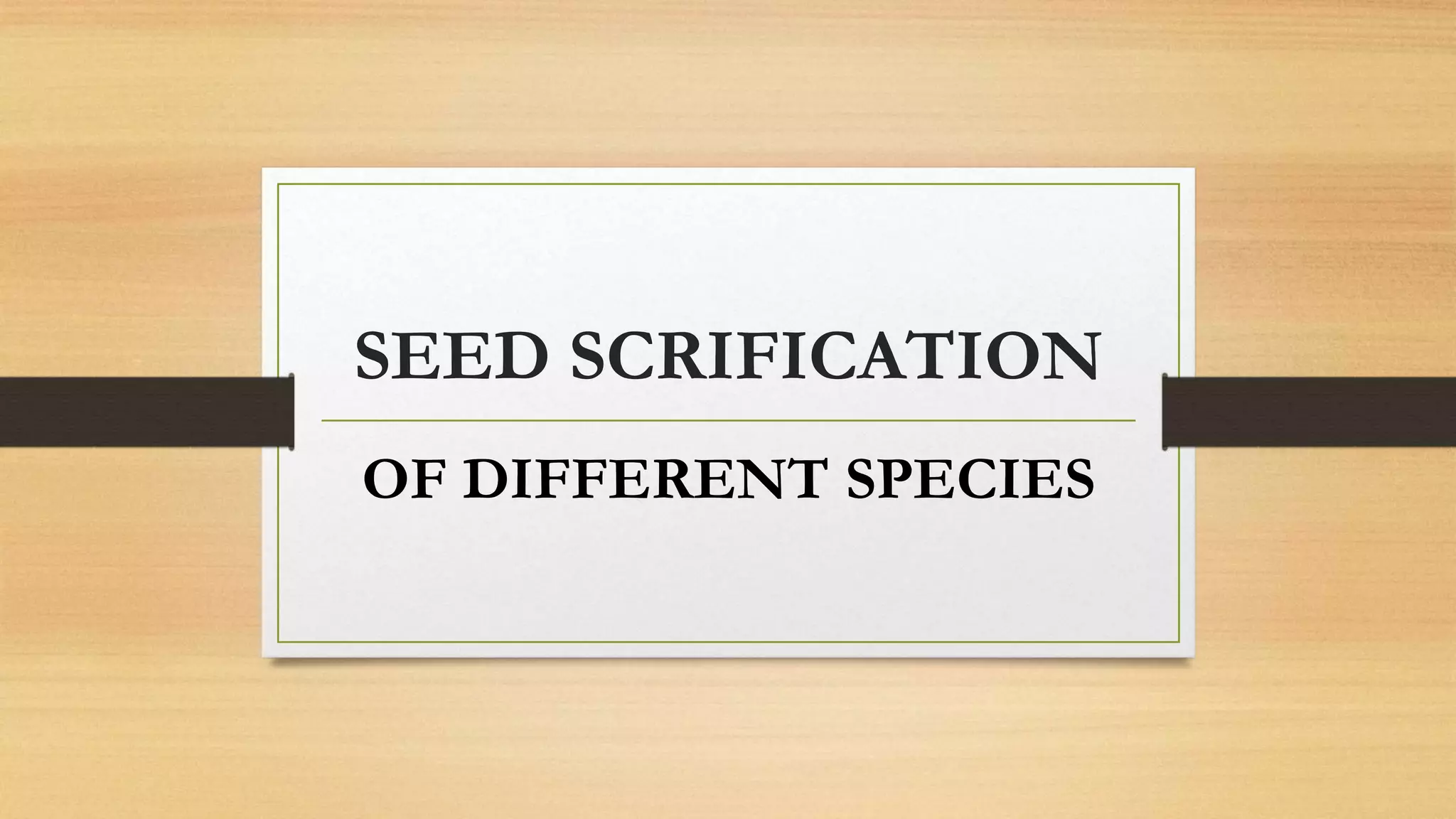 Seed Scarification of Different species | PPTX