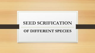 Seed Scarification Techniques.pptx