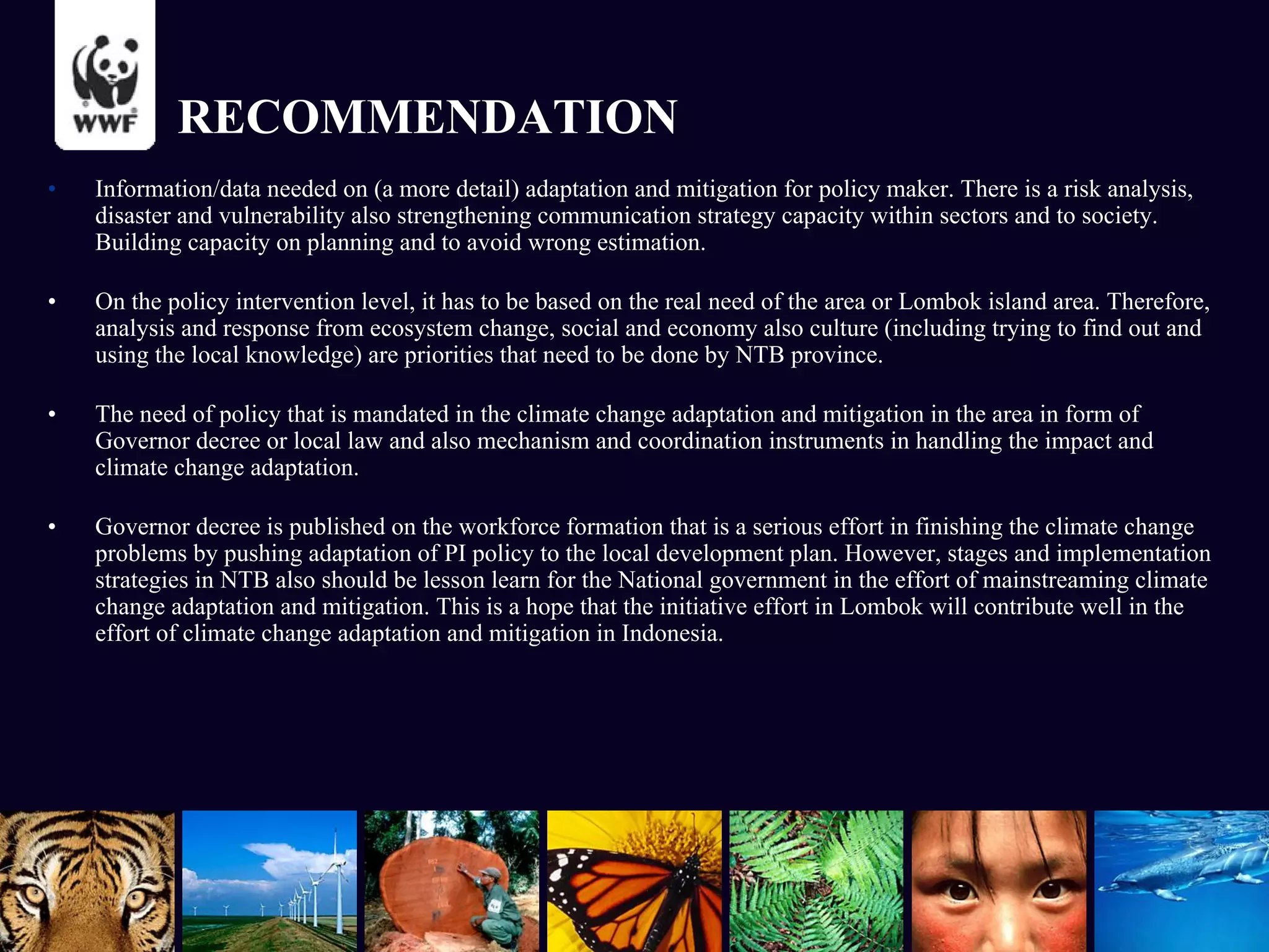 Indonesia - small island risks - WWF | PPT