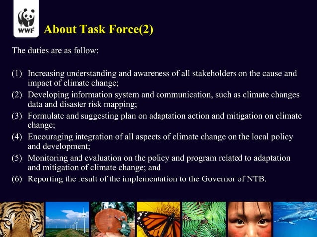 Indonesia - small island risks - WWF | PPT