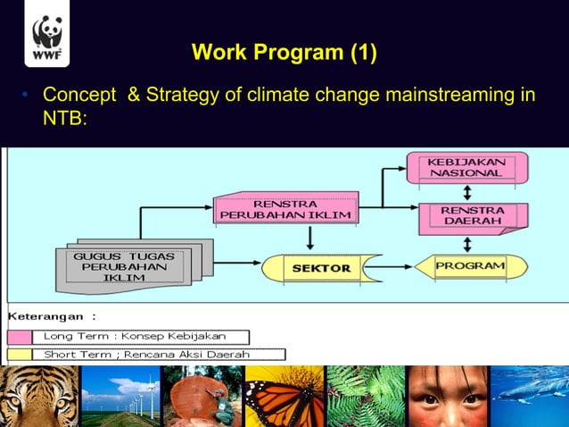 Indonesia - small island risks - WWF | PPT