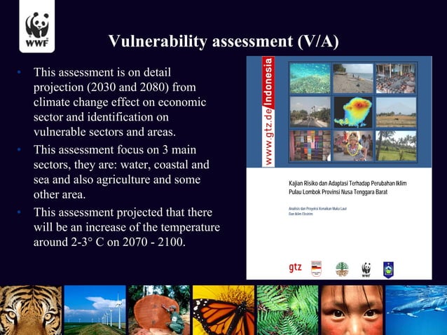 Indonesia - small island risks - WWF | PPT