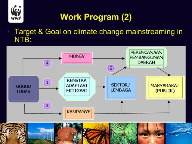 Indonesia - small island risks - WWF | PPT
